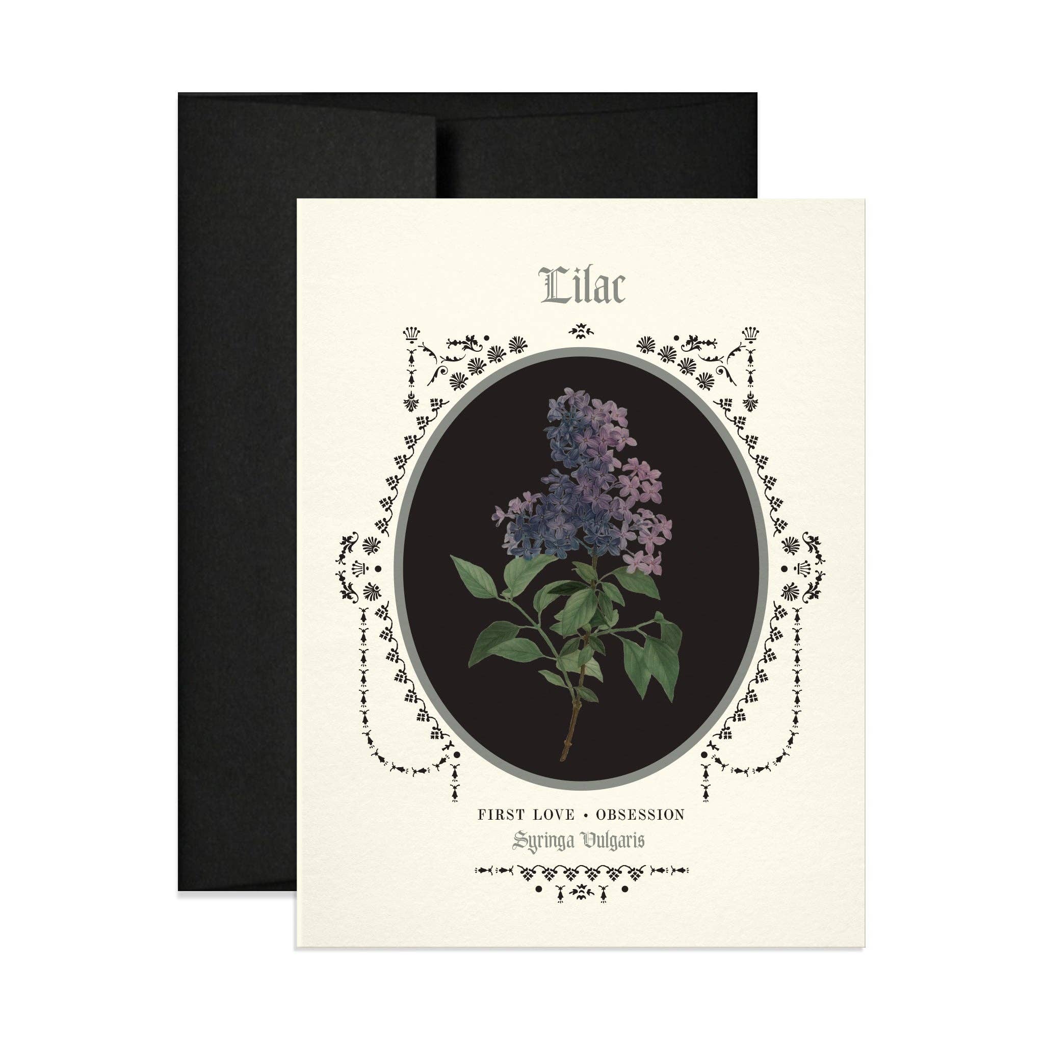 Lilac Obsession Card – Joli Jardin